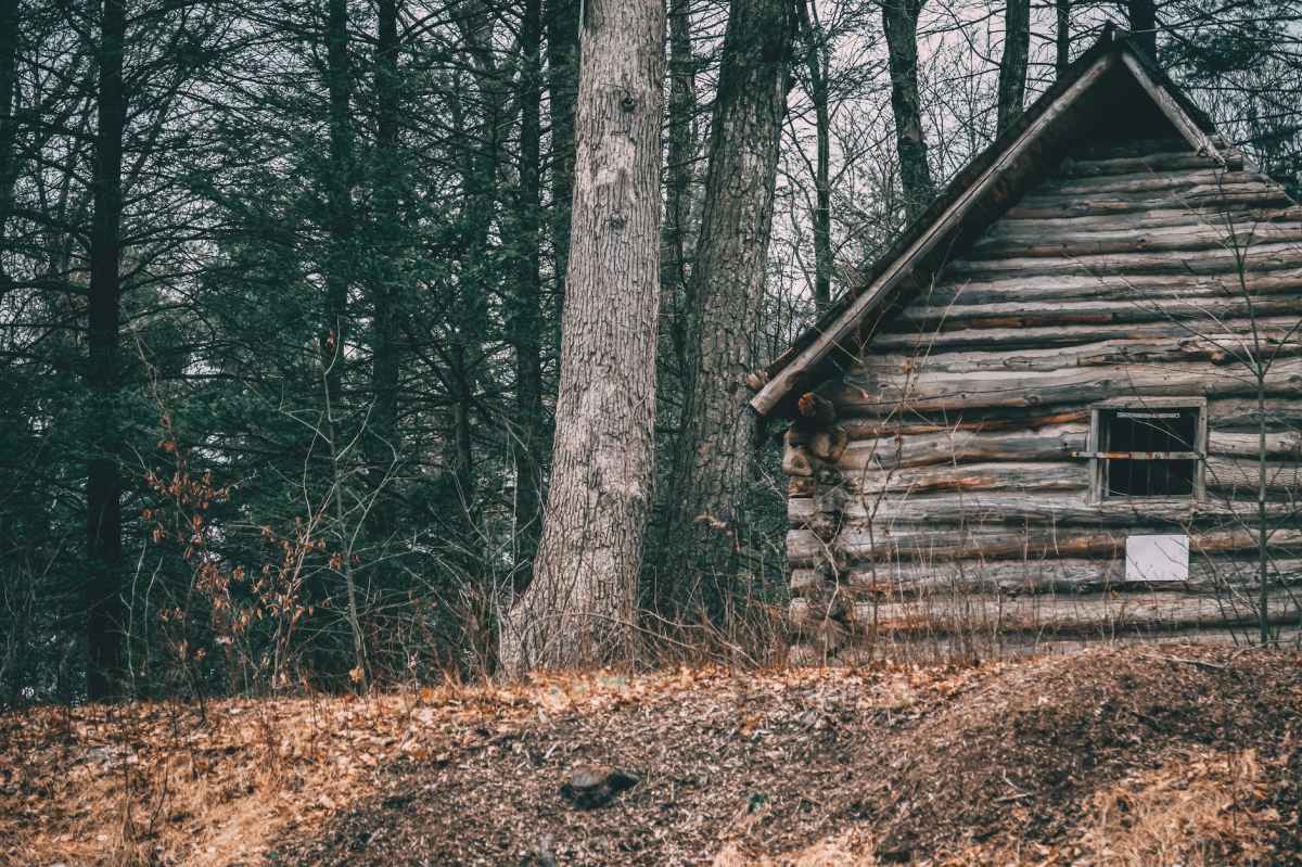 Early Arkansas Hunters: 1870 Traveler – Arkansas Wildlife History