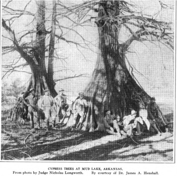Early Arkansas Non-Resident Hunters – Arkansas Wildlife History